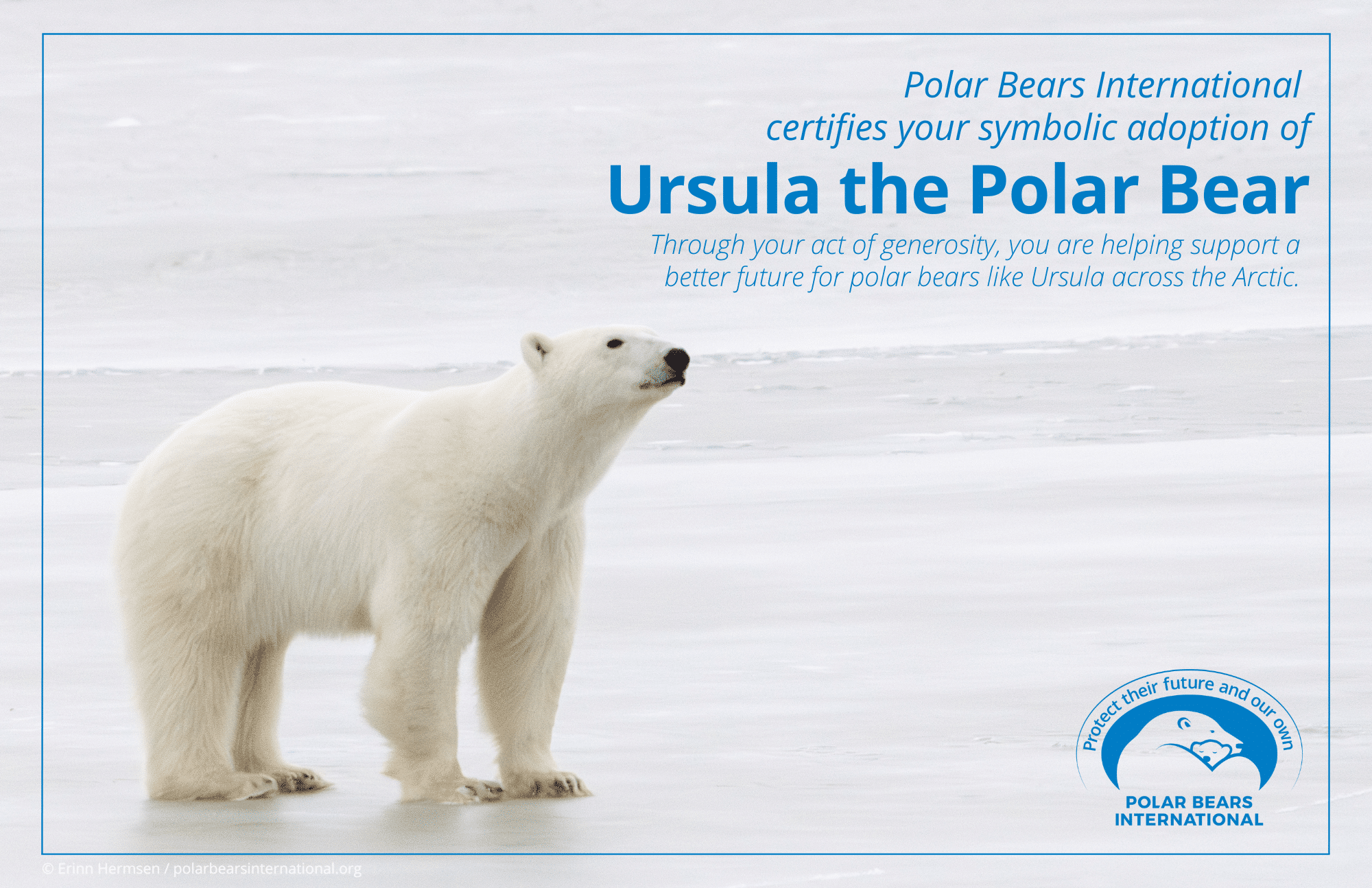 Planned Giving Rack Card - PBI Shop