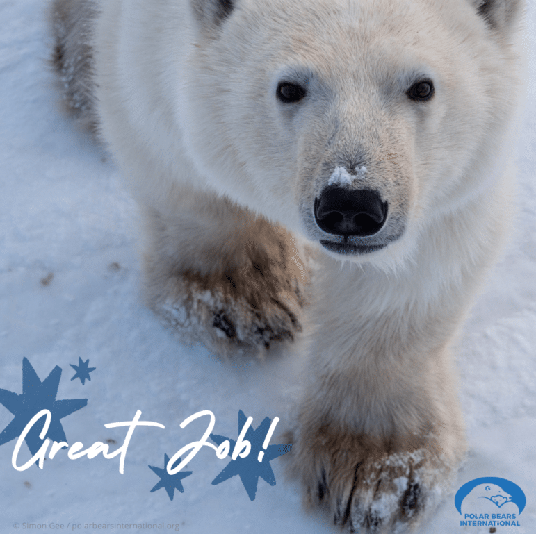 "Great Job" eCard - PBI Shop