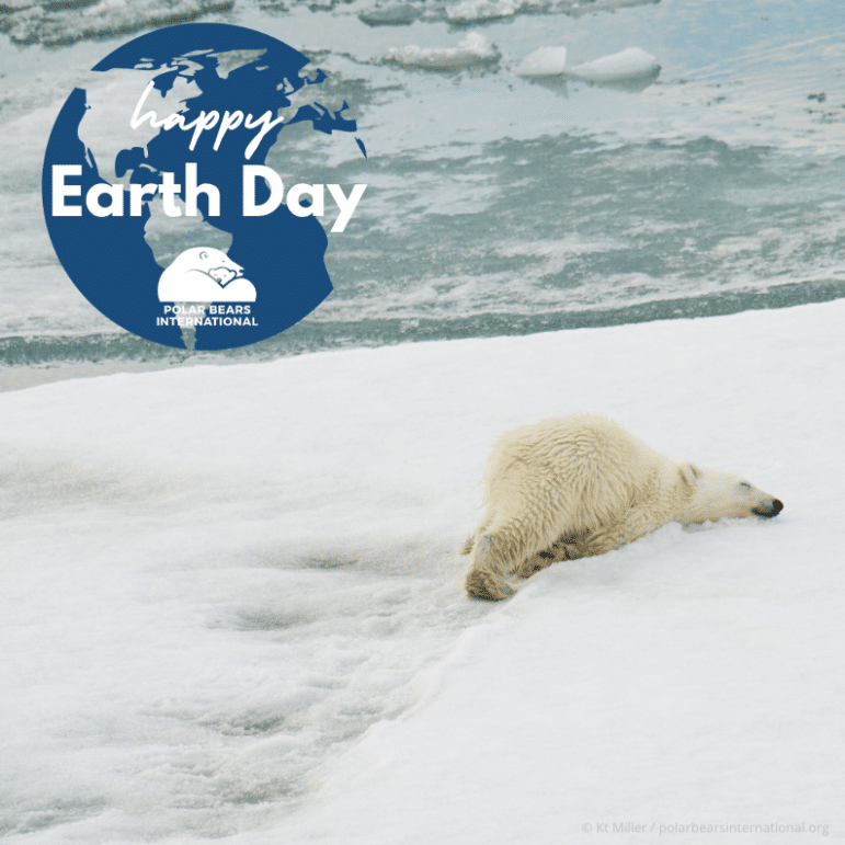 "Earth Day" eCard - PBI Shop